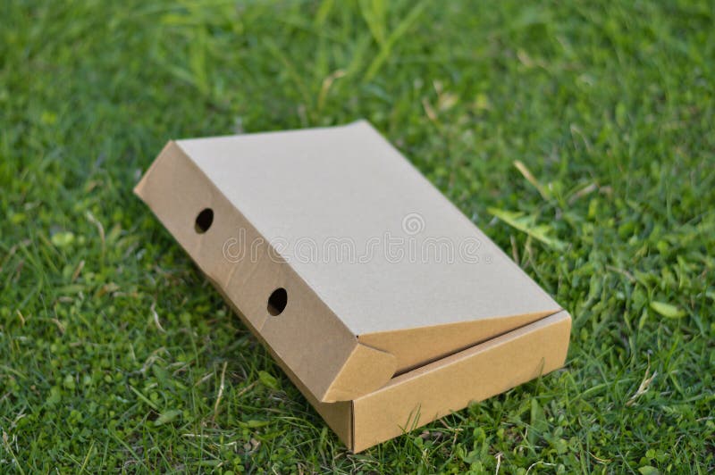 Cardboard Large Parcel Box on the Background of Green Grass Outdoors ...