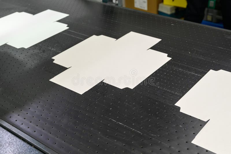Cardboard Packaging Factory Processes Paper Cutouts on Conveyor Belt ...