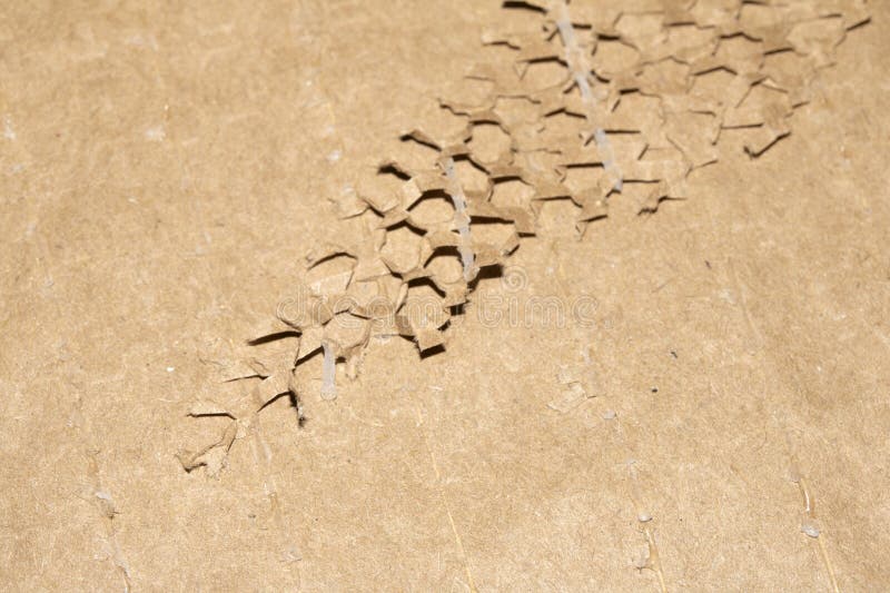 Cardboard Paper Screwed Crunched Up Box Packaging with Honeycomb ...