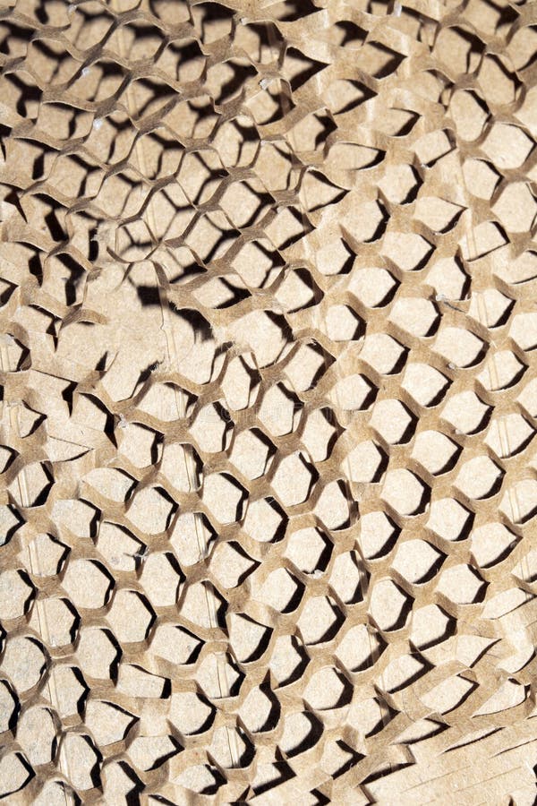 Cardboard Paper Screwed Crunched Up Box Packaging with Honeycomb ...