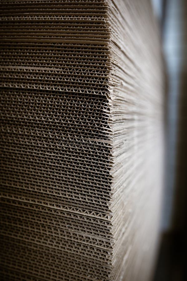 326 Perforated Cardboard Stock Photos - Free & Royalty-Free Stock ...