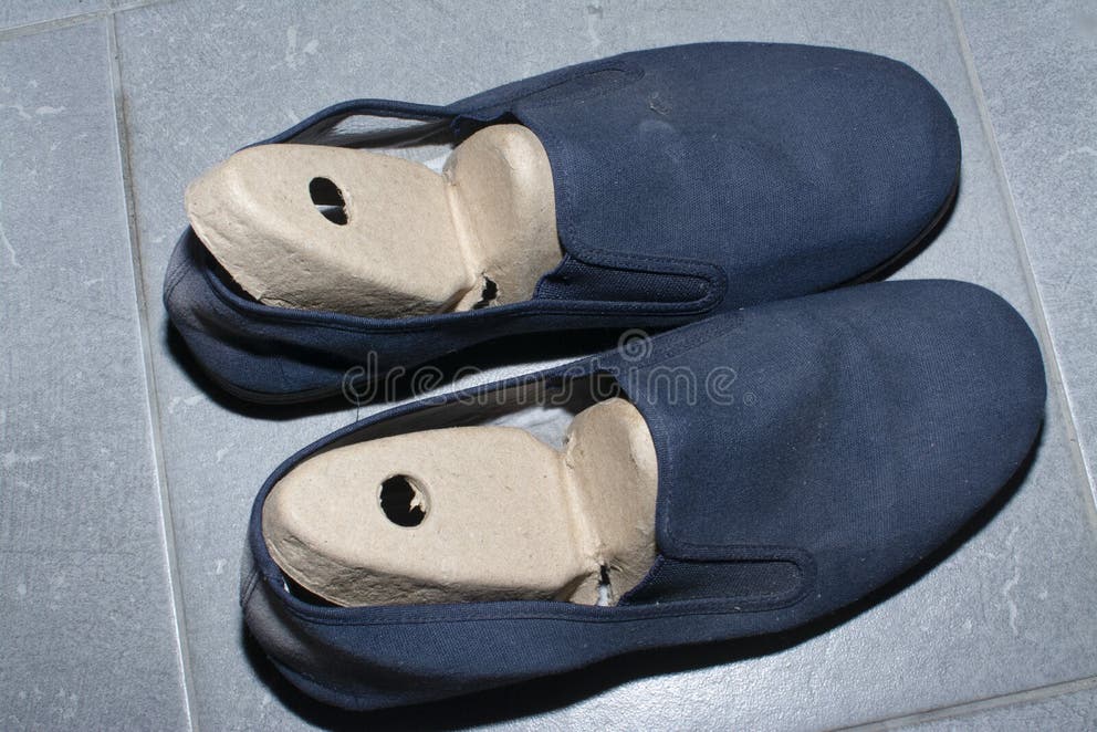 Cardboard Shoe Tree or Insert Accessory Stock Photo - Image of care ...