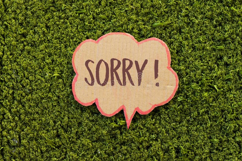 Cardboard with Sorry Concept on Grass Stock Image - Image of board ...