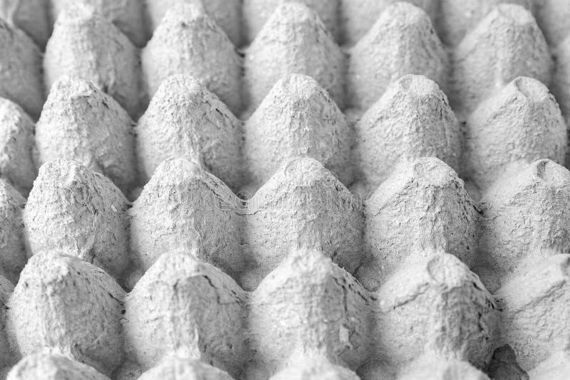 Cardboard Texture. Empty Egg Tray Made of Recycled Paper. Selective ...