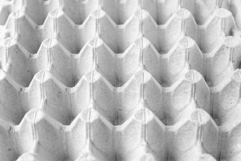 Cardboard Texture. Side View of Empty Egg Tray from Recycled Paper ...