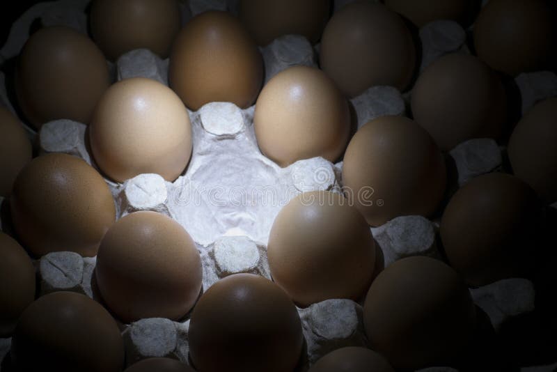 Cardboard Tray with Chicken Brown Eggs, with an Empty Cell in the ...