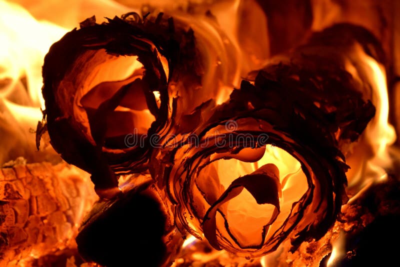 Cardboard Tubes Burn in a Fire Stock Photo - Image of precautionary ...