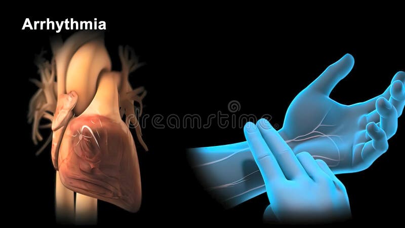 Cardiac Muscle Cells 3d Medical Stock Illustration - Illustration of ...