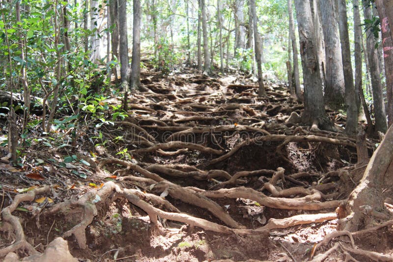 Cardiac Bears Emoji Stock Photos - Free & Royalty-Free Stock Photos ...