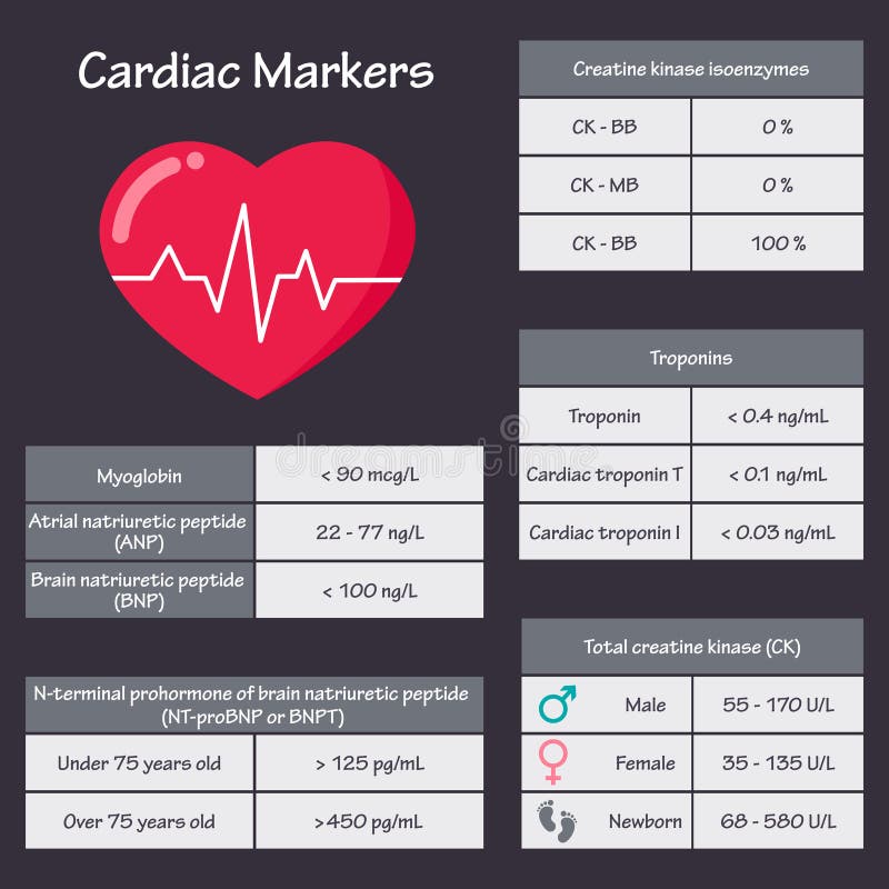Cardiac Markers Stock Illustrations – 11 Cardiac Markers Stock ...