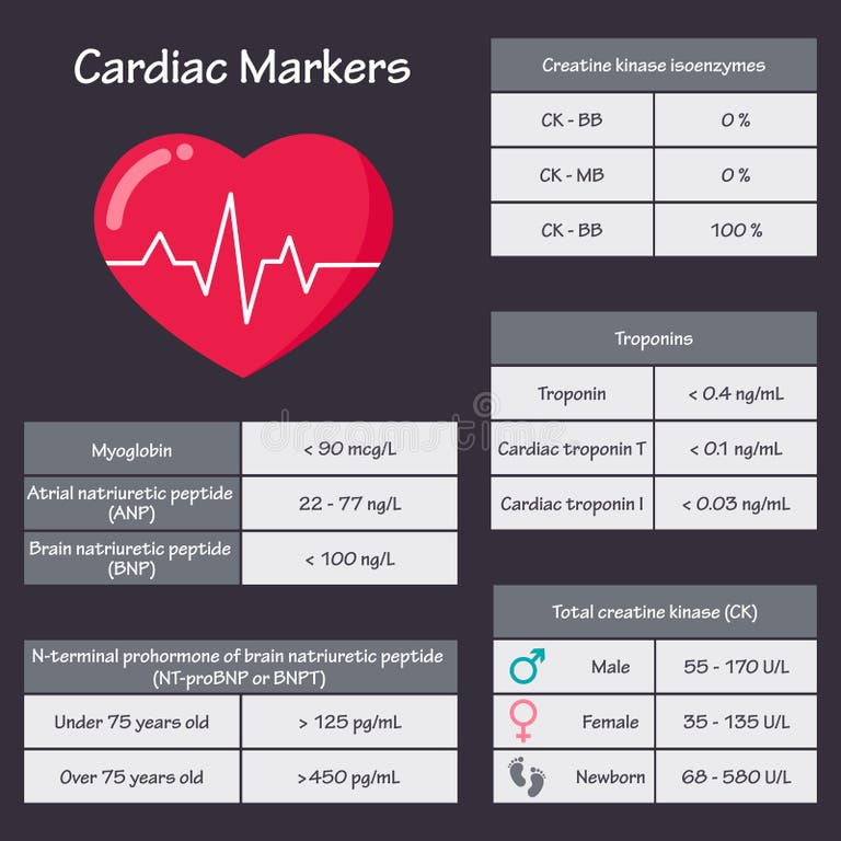 Cardiac Marker Blood Test Results Medical Infographic Vector ...