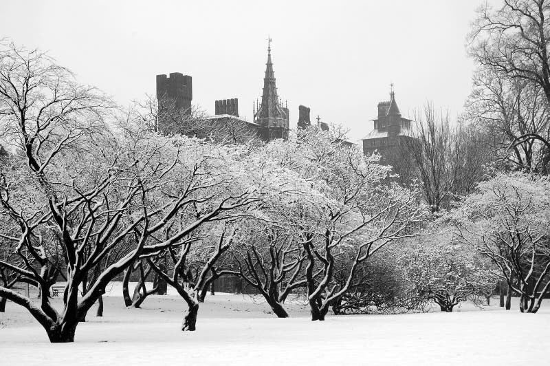 Cardiff castle stock photo. Image of snow, frost, bush - 12564140