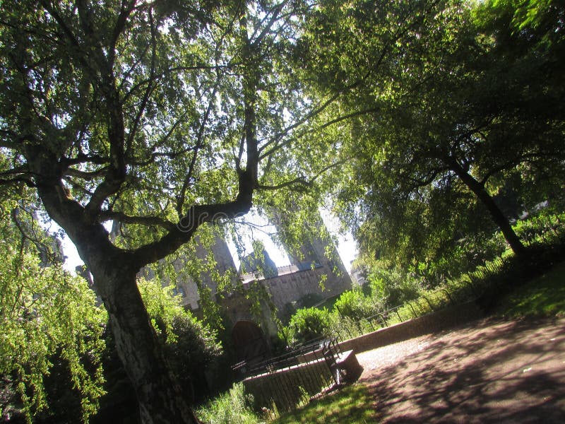 Cardiff forest stock image. Image of cardiff, sunny - 122108027