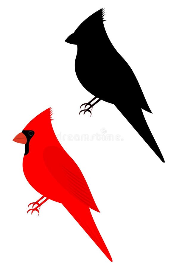 Cardinal stock vector. Illustration of feather, nature - 8454297