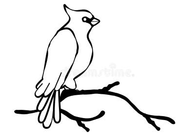 Standing Bird Outline Stock Illustrations – 4,962 Standing Bird Outline ...