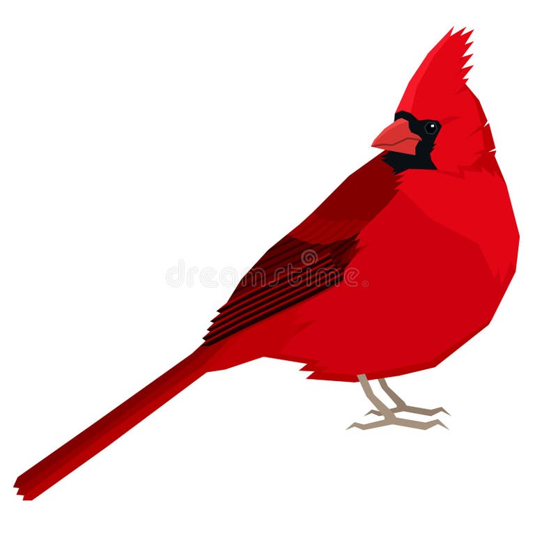 Funny Cardinal Bird Stock Illustrations – 731 Funny Cardinal Bird Stock ...