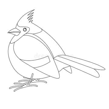 Red Cardinal Line Drawing Stock Illustrations – 203 Red Cardinal Line ...