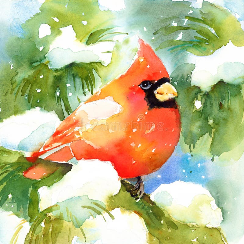 Cardinal Bird Watercolor Winter Illustration Hand Painted Stock ...