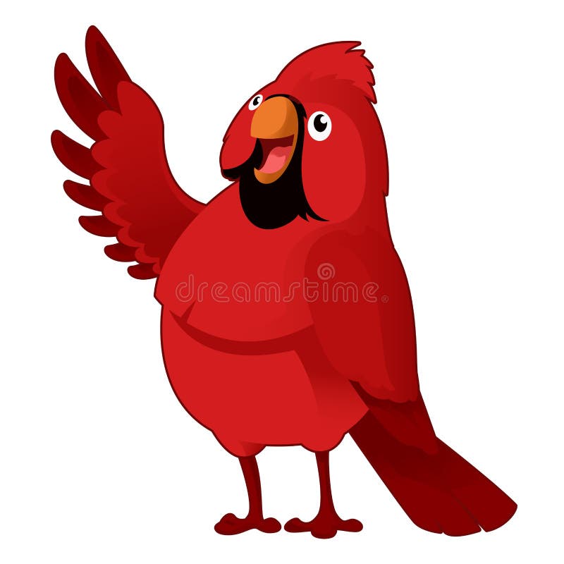 Cardinal stock vector. Illustration of redbird, tail - 55329255