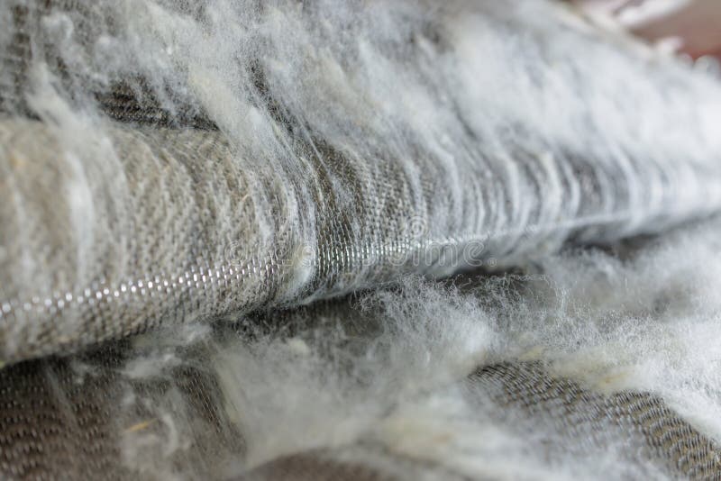 Carding Machine Processing Raw Wool Fibers in a Textile Production ...