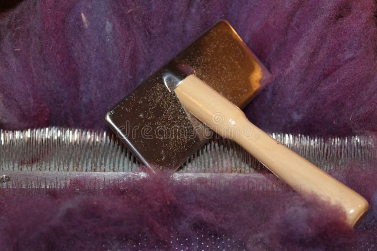 125 Carding Process Stock Photos - Free & Royalty-Free Stock Photos ...