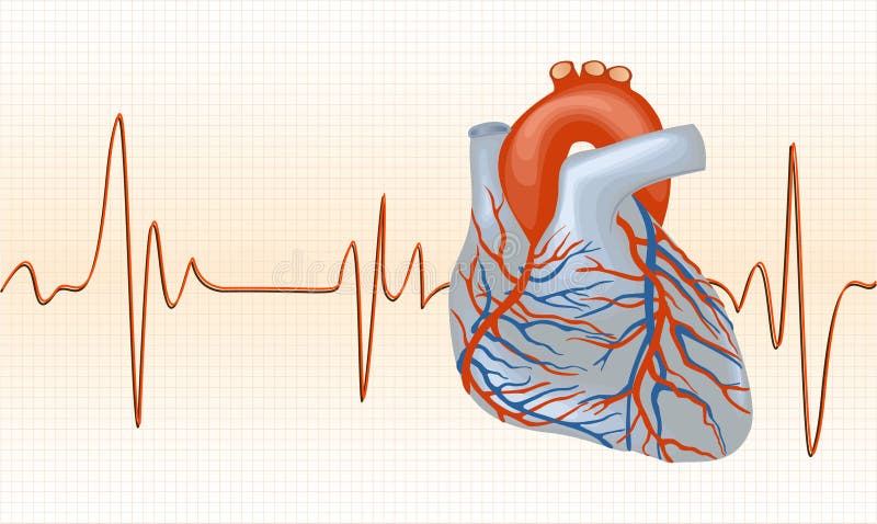 Cardiogramme avec le coeur illustration de vecteur. Illustration du ...