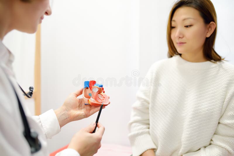 A Cardiologist during Appointment of Patient. Doctor Shows Anatomical ...