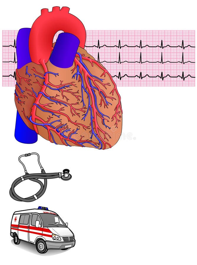 Cardiology stock vector. Illustration of cardiogramme - 19798703