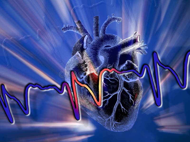 Cardiology Human Heart Icon, Cartoon Style Stock Vector - Illustration ... Cardiology Human Heart Icon, Cartoon Style Stock Vector - Illustration ...