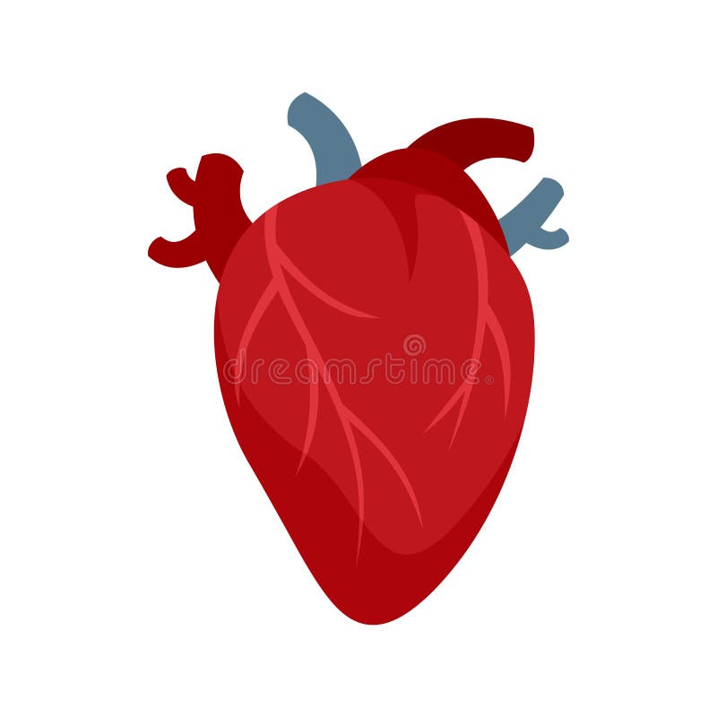 Cardiology Human Heart Icon, Cartoon Style Stock Vector - Illustration ... Cardiology Human Heart Icon, Cartoon Style Stock Vector - Illustration ...