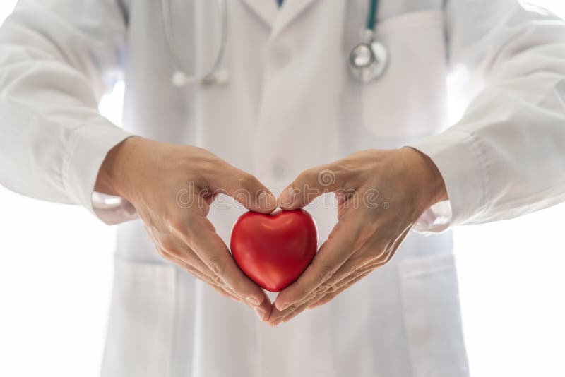 Cardiovascular Disease Doctor Or Cardiologist Holding Red Heart In