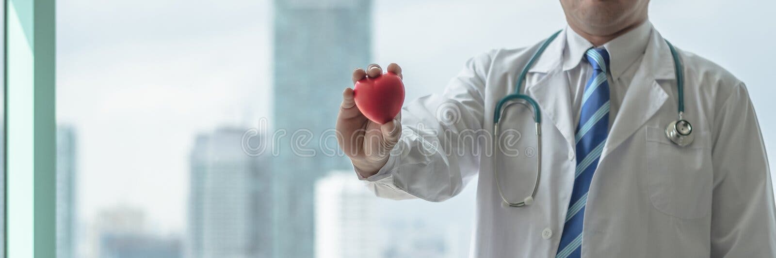 Cardiovascular Disease Doctor Or Cardiologist Holding Red Heart In
