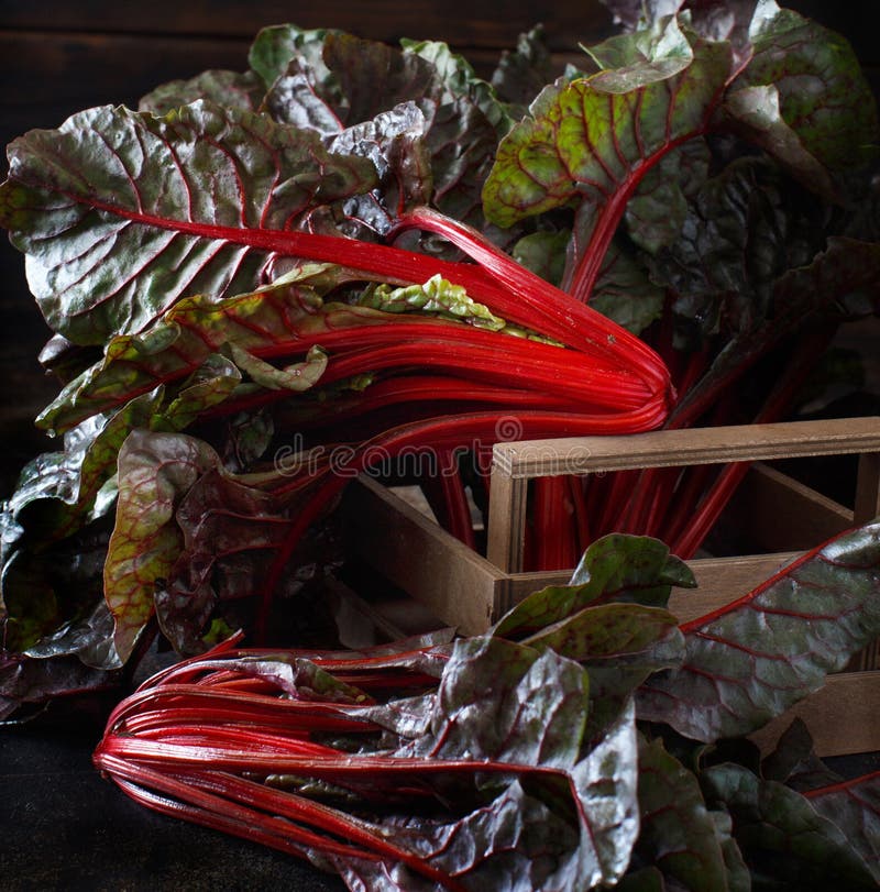 Cardo rojo fresco foto de archivo. Imagen de ingrediente - 109531242