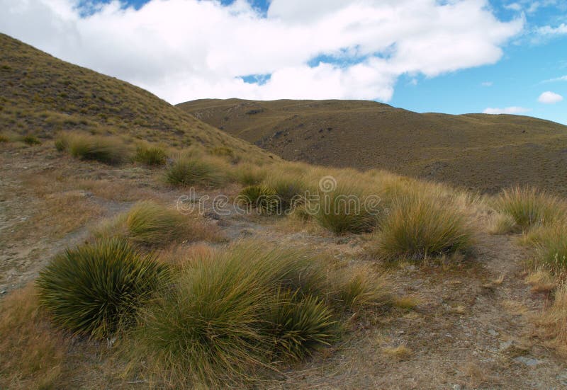 Cardrona valley road stock photo. Image of hill, national - 23915240