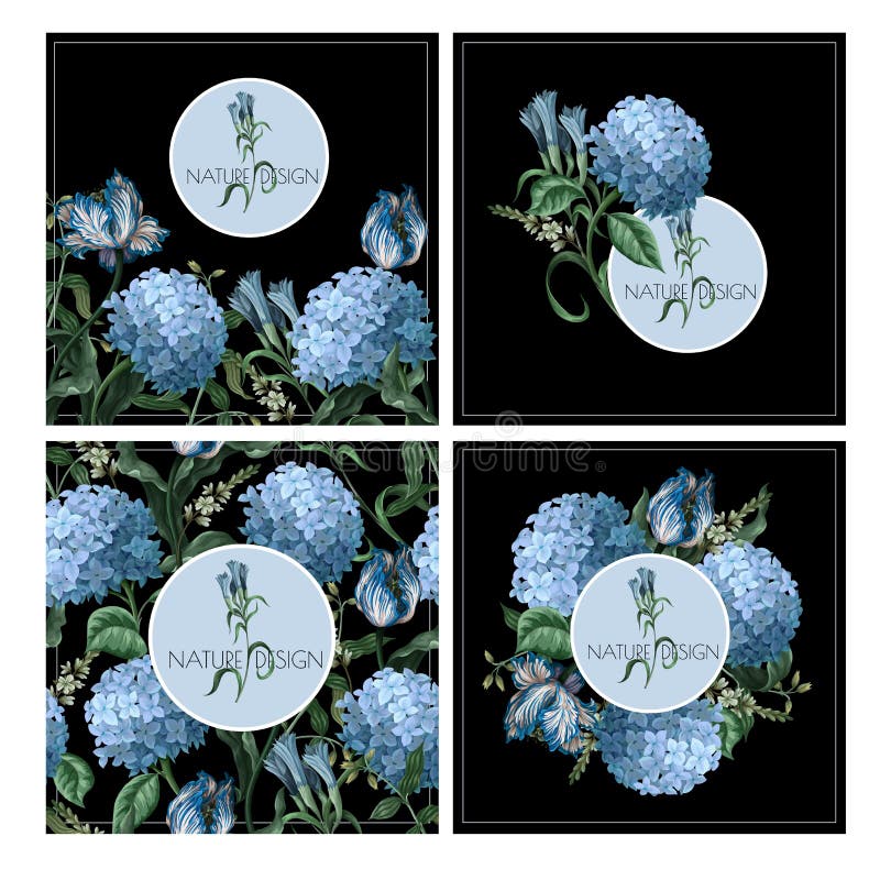 Cards with Blue Hydrangeas and Other Flowers Isolated. Vector Stock ...
