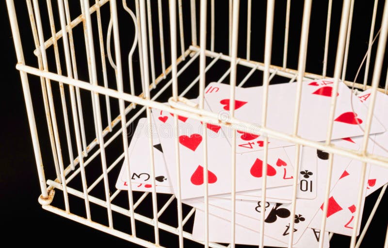 Cards inside a cage stock photo. Image of luck, loss - 108016790