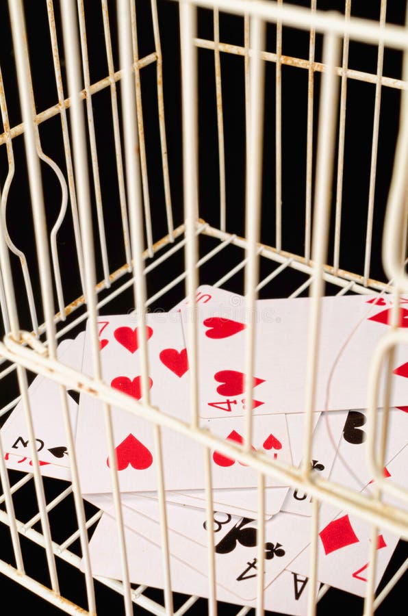 Cards inside a cage stock image. Image of cards, shot - 108612927