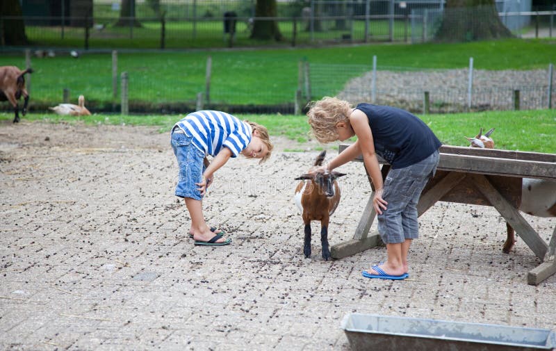 Care for the animals stock image. Image of love, farm - 21305915
