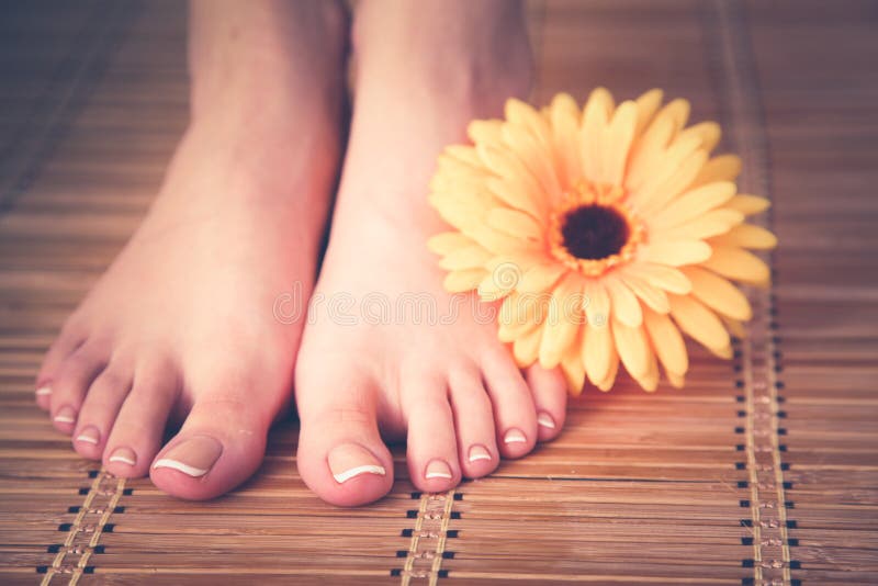 Care for Beautiful Woman Legs with Flower . Beautiful Woman Legs Stock ...