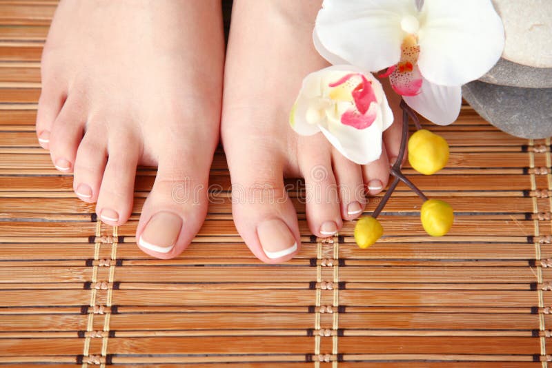 Care for Beautiful Woman Legs with Flower . Beautiful Woman Legs Stock ...