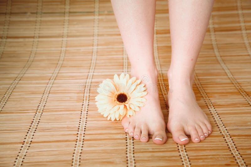 Care for Beautiful Woman Legs with Flower . Beautiful Woman Legs Stock ...