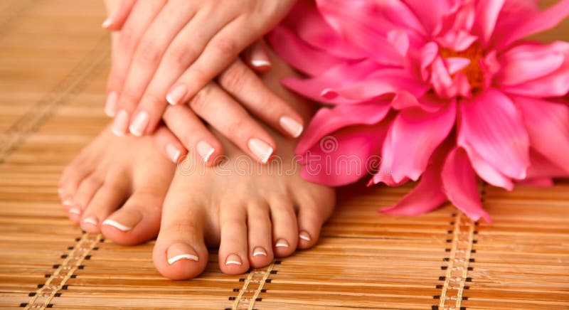 Care for Beautiful Woman Legs with Flower Stock Image - Image of hand ...