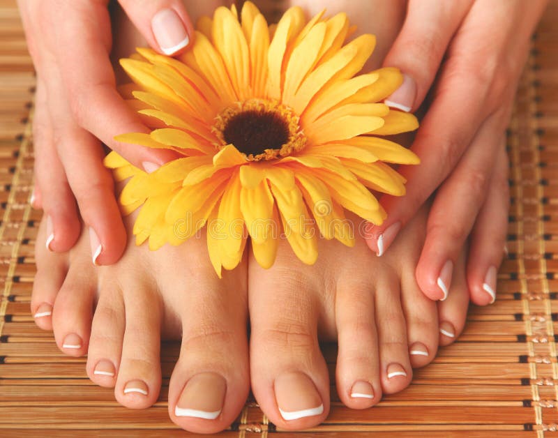 Care for Beautiful Woman Legs with Flower Stock Photo - Image of ...