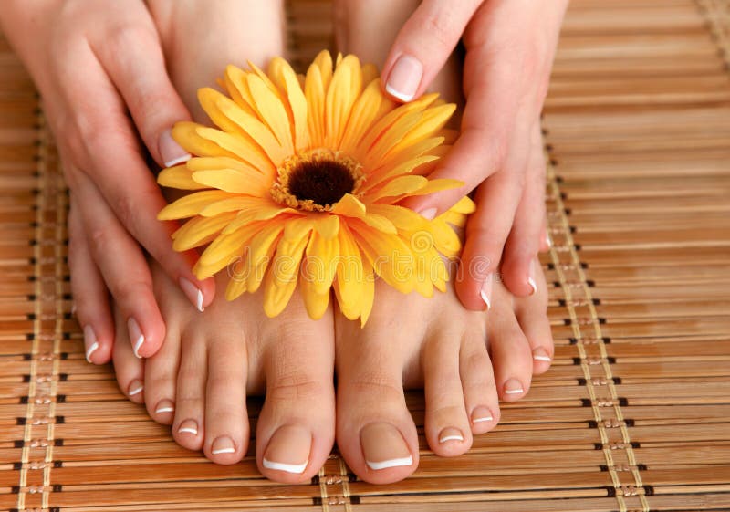 Care for Beautiful Woman Legs with Flower Stock Image - Image of beauty ...