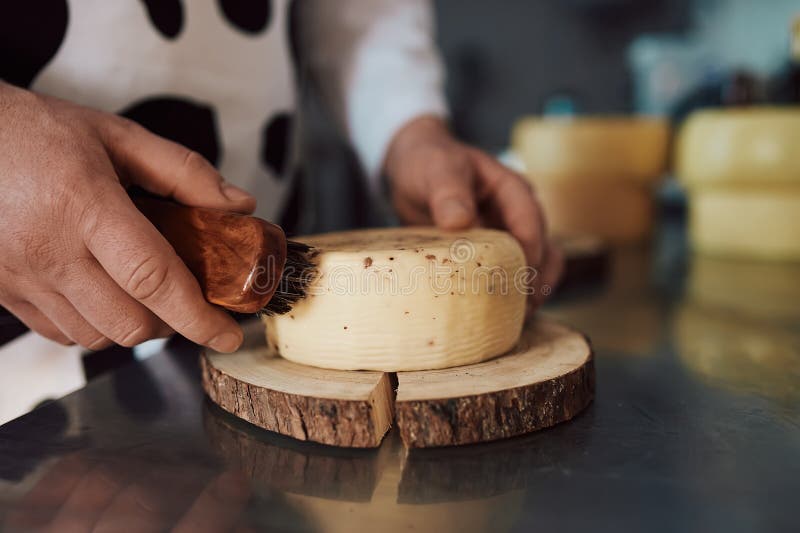 Care of Cheese during Ripening Process Stock Image - Image of wheel ...