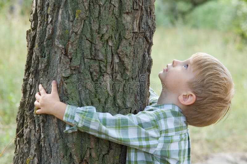 Care of Nature - Little Boy Embrace a Tree Stock Image - Image of ...