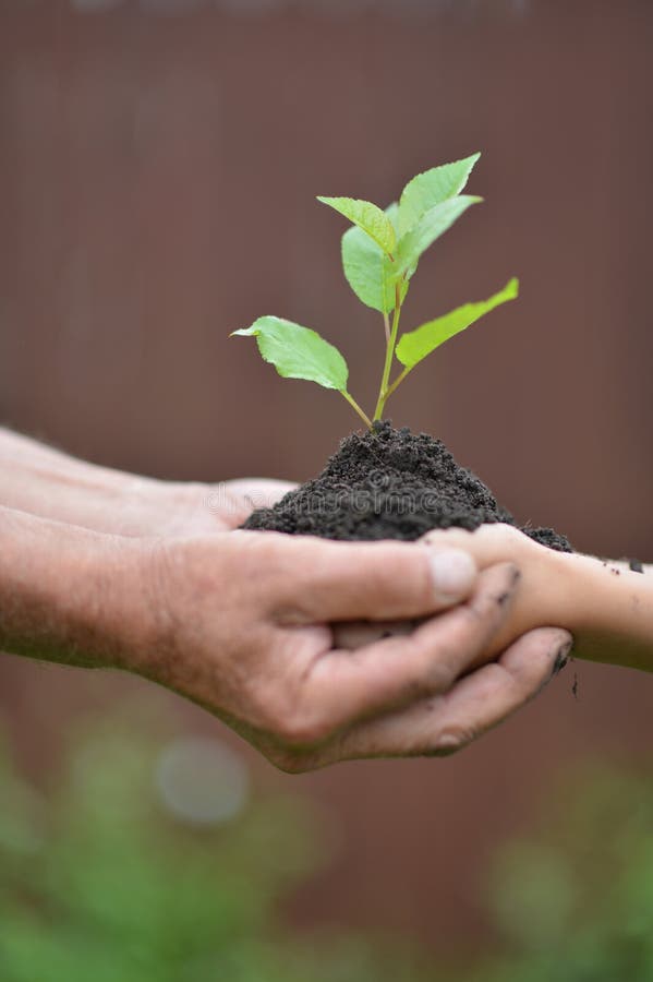 Care of nature stock photo. Image of ecology, freedom - 39954186