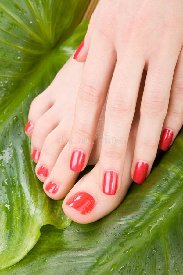 Care for woman legs stock photo. Image of feet, glamour - 10057598