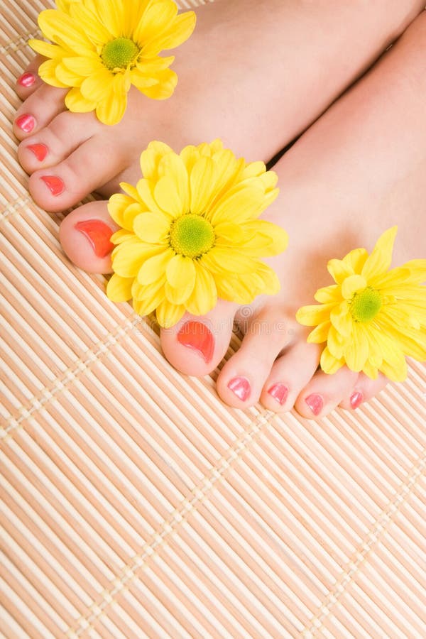 Care for woman legs stock image. Image of care, fresh - 7493491