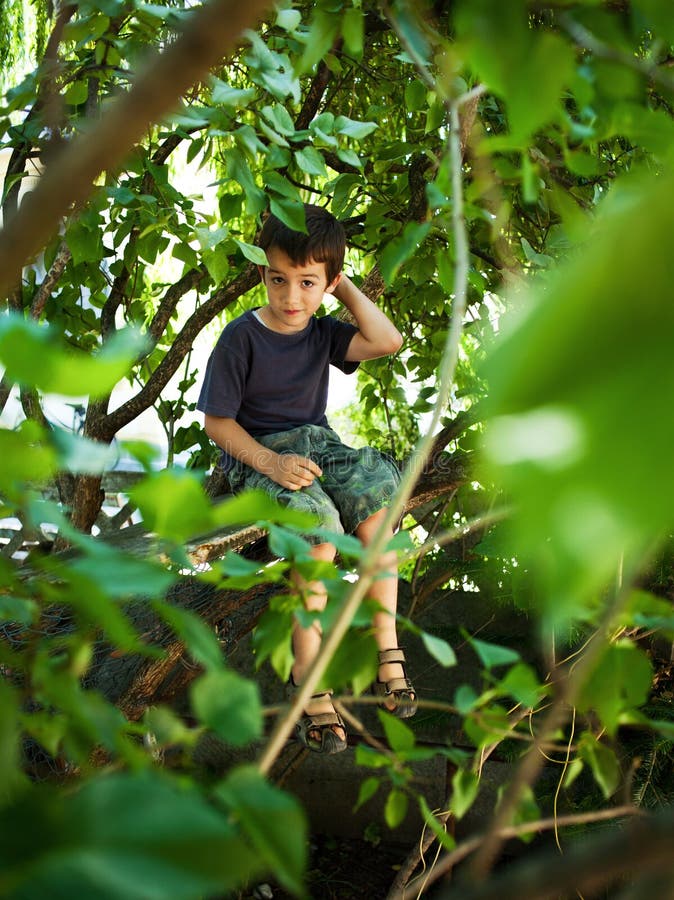 Carefree Child Sitting in Tree Stock Photo - Image of seek, child: 31395076
